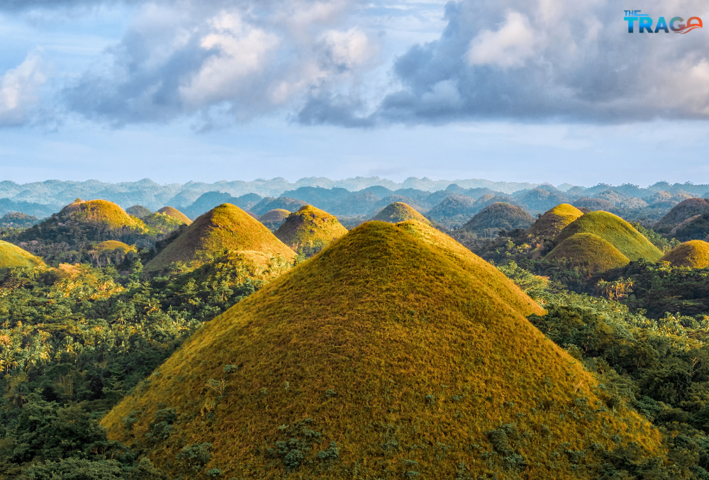 Chocolate Hills